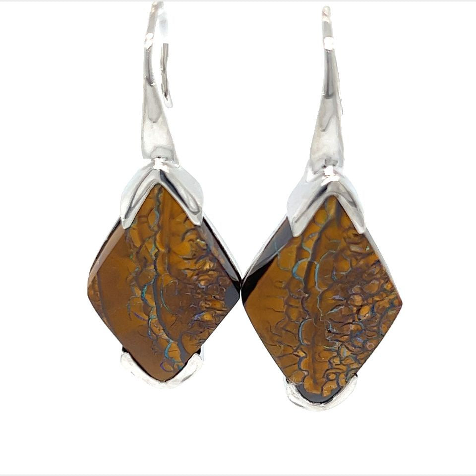 JOURNEY BEGINS – The Opal Miner